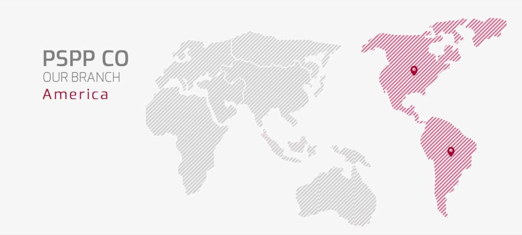 Global Branches - PSPP - Inspection